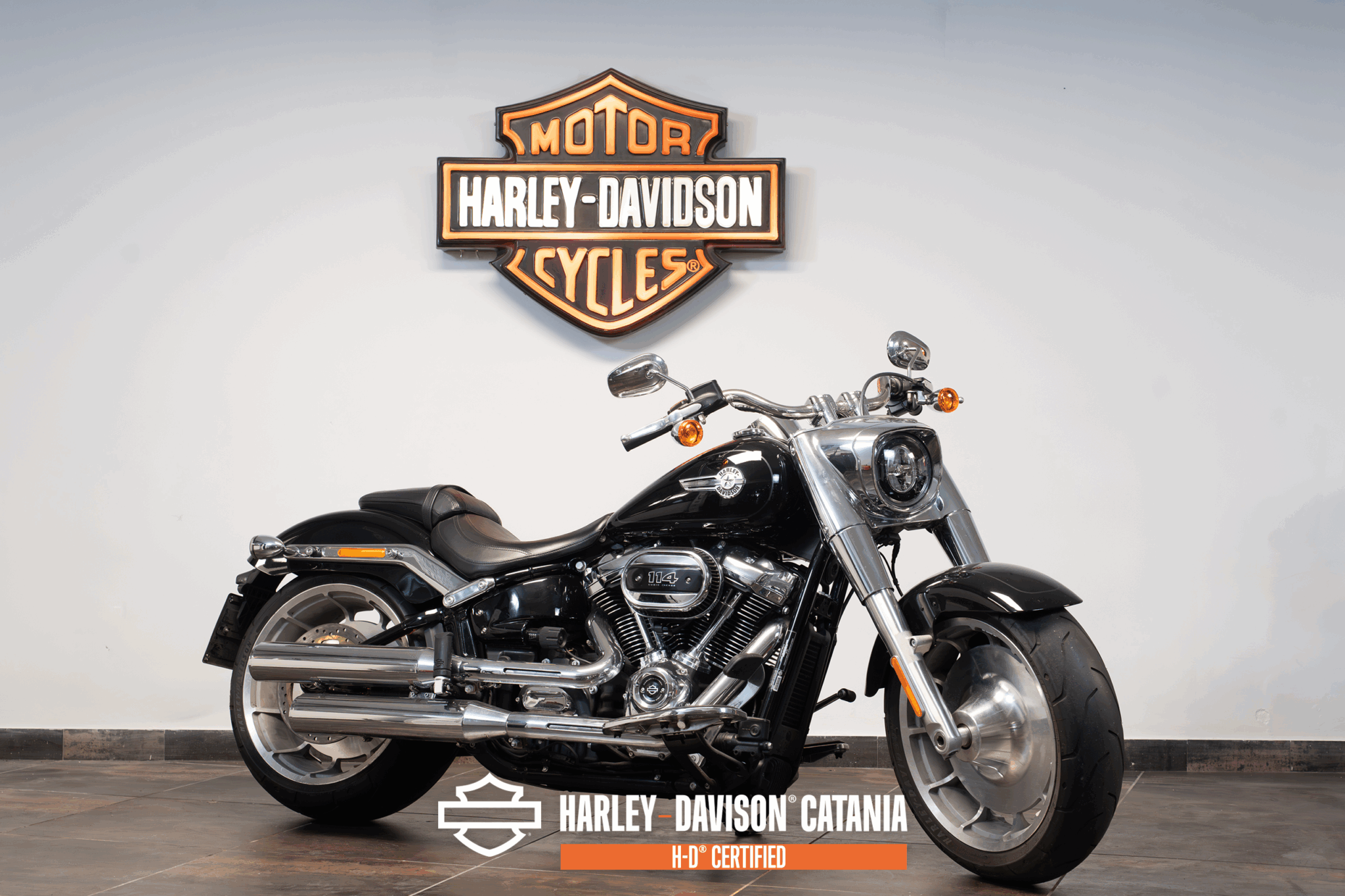 Usato – Harley Davidson® Catania